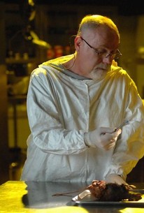 CSI: Crime Scene Investigation: Season 7, Episode 20 | Rotten Tomatoes
