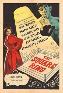 The Square Ring | Rotten Tomatoes