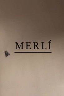 Merlí: Season 1 | Rotten Tomatoes