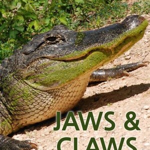 Jaws & Claws - Rotten Tomatoes