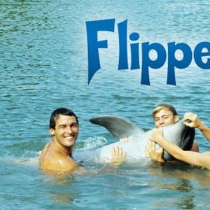 Flipper - Rotten Tomatoes