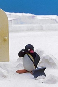 Pingu: Season 4, Episode 20 - Rotten Tomatoes