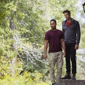 Bitten - Rotten Tomatoes