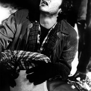 Tim Streeter - Rotten Tomatoes