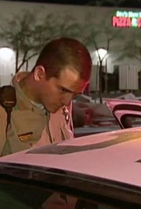 Cops Reloaded: Season 1, Episode 155 | Rotten Tomatoes