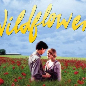 Wildflower - Rotten Tomatoes