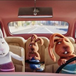 Sing - Rotten Tomatoes