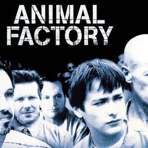 Animal Factory - Rotten Tomatoes