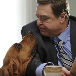 Alpha House - Rotten Tomatoes