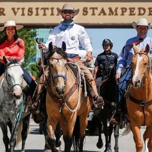 The Long Rider - Rotten Tomatoes