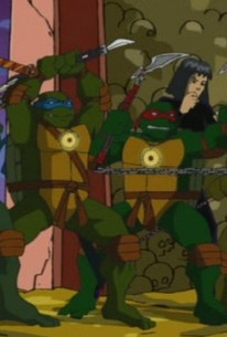 Teenage Mutant Ninja Turtles: Ninja Tribunal, Episode 8 | Rotten Tomatoes