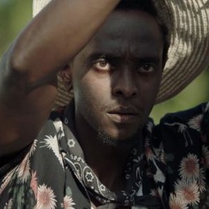 Better Start Running - Rotten Tomatoes