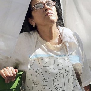 The Second Mother - Rotten Tomatoes