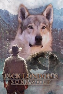 Jack London's Son of the Wolf | Rotten Tomatoes