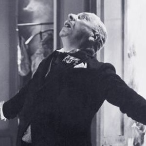 Personal Column - Rotten Tomatoes