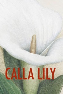 Calla Lily | Rotten Tomatoes