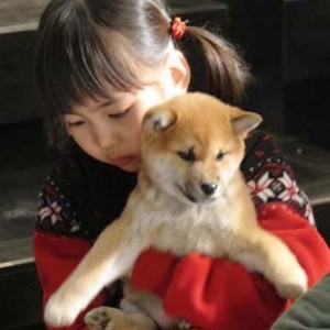 A Tale of Mari and Three Puppies - Rotten Tomatoes