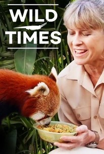 Wild Times: Season 1 | Rotten Tomatoes