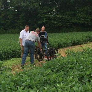 John Ceallach - Rotten Tomatoes