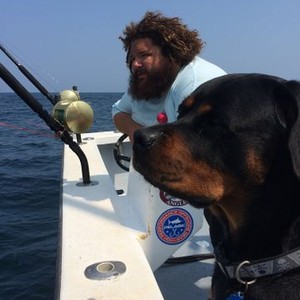 T.J. Ott - Rotten Tomatoes