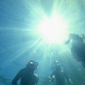 The Unforeseen - Rotten Tomatoes