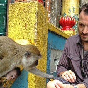 Chug - Rotten Tomatoes