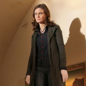 Bones: Season 1, Episode 20 - Rotten Tomatoes