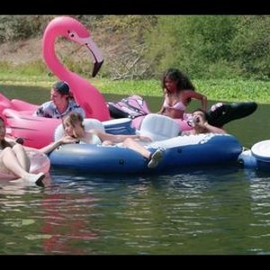 #FLOAT - Rotten Tomatoes