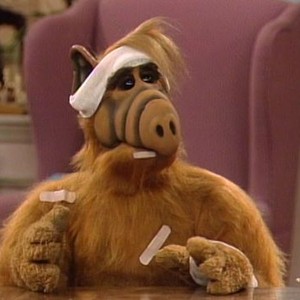 ALF: Season 3, Episode 19 - Rotten Tomatoes