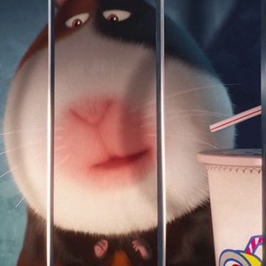 The Secret Life of Pets: 3 Mini-Movie Collection - Rotten Tomatoes