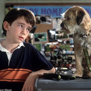 Good Boy! (2003) - Rotten Tomatoes