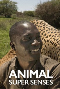 Animal Super Senses: Season 1 | Rotten Tomatoes