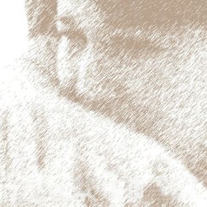 The Beautiful Risk - Rotten Tomatoes