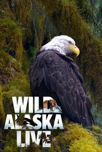 Wild Alaska Live | Rotten Tomatoes