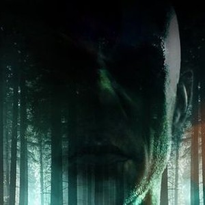 Entity - Rotten Tomatoes