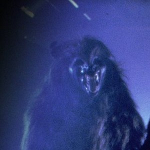 Werewolf - Rotten Tomatoes