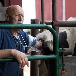 Dr. Jan Pol - Rotten Tomatoes