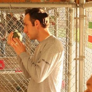 Breaking Balls - Rotten Tomatoes