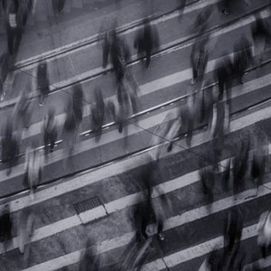 The Disappearing Male - Rotten Tomatoes