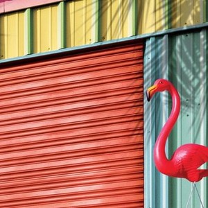 Storage Wars: Miami - Rotten Tomatoes