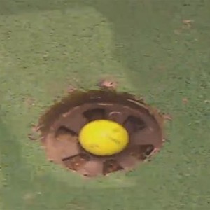 Teletubbies: Season 2, Episode 54 - Rotten Tomatoes