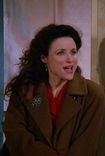 Seinfeld: Season 6, Episode 17 | Rotten Tomatoes