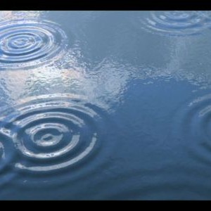 Secret of Water - Rotten Tomatoes