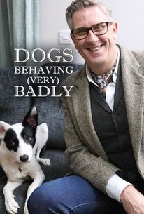 Dogs Behaving (Very) Badly - Rotten Tomatoes