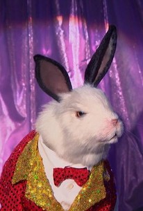 The Thundermans: Season 4, Episode 28 | Rotten Tomatoes