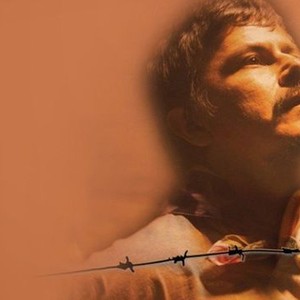 7 Suns - Rotten Tomatoes