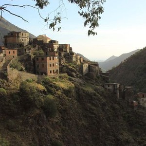 The Tormented - Rotten Tomatoes