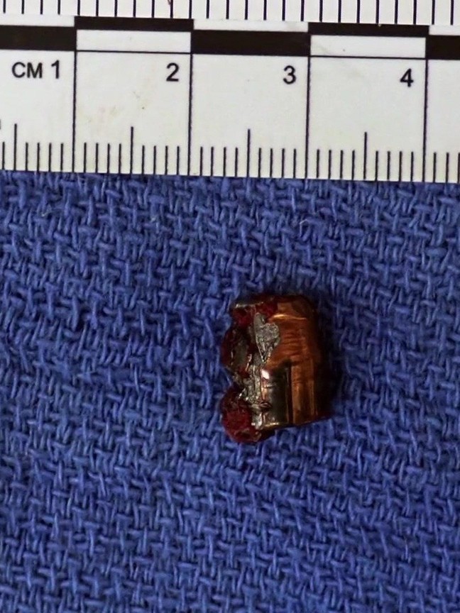 Angelina Hamrick Pictures - Rotten Tomatoes