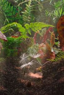 Dandelion’s Odyssey | Rotten Tomatoes