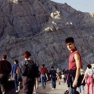 Desolation Center - Rotten Tomatoes